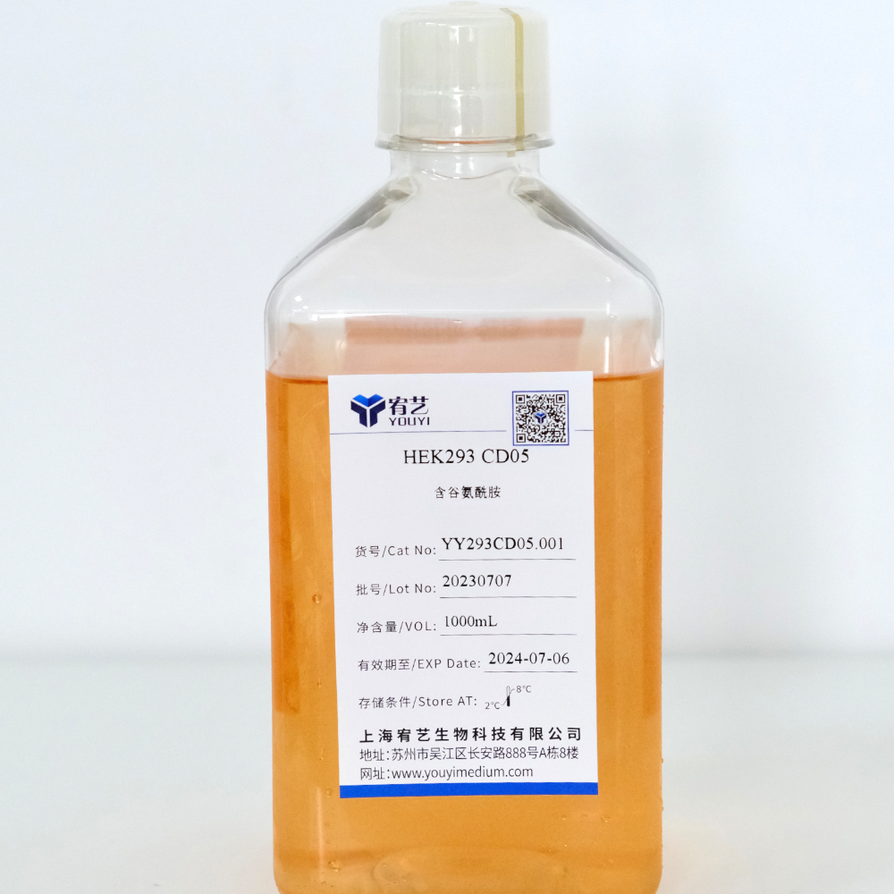 HEK293 CD05 | HEK293系列 | 产品中心 | 上海宥艺生物科技有限公司企业网站 - Powered by DouPHP
