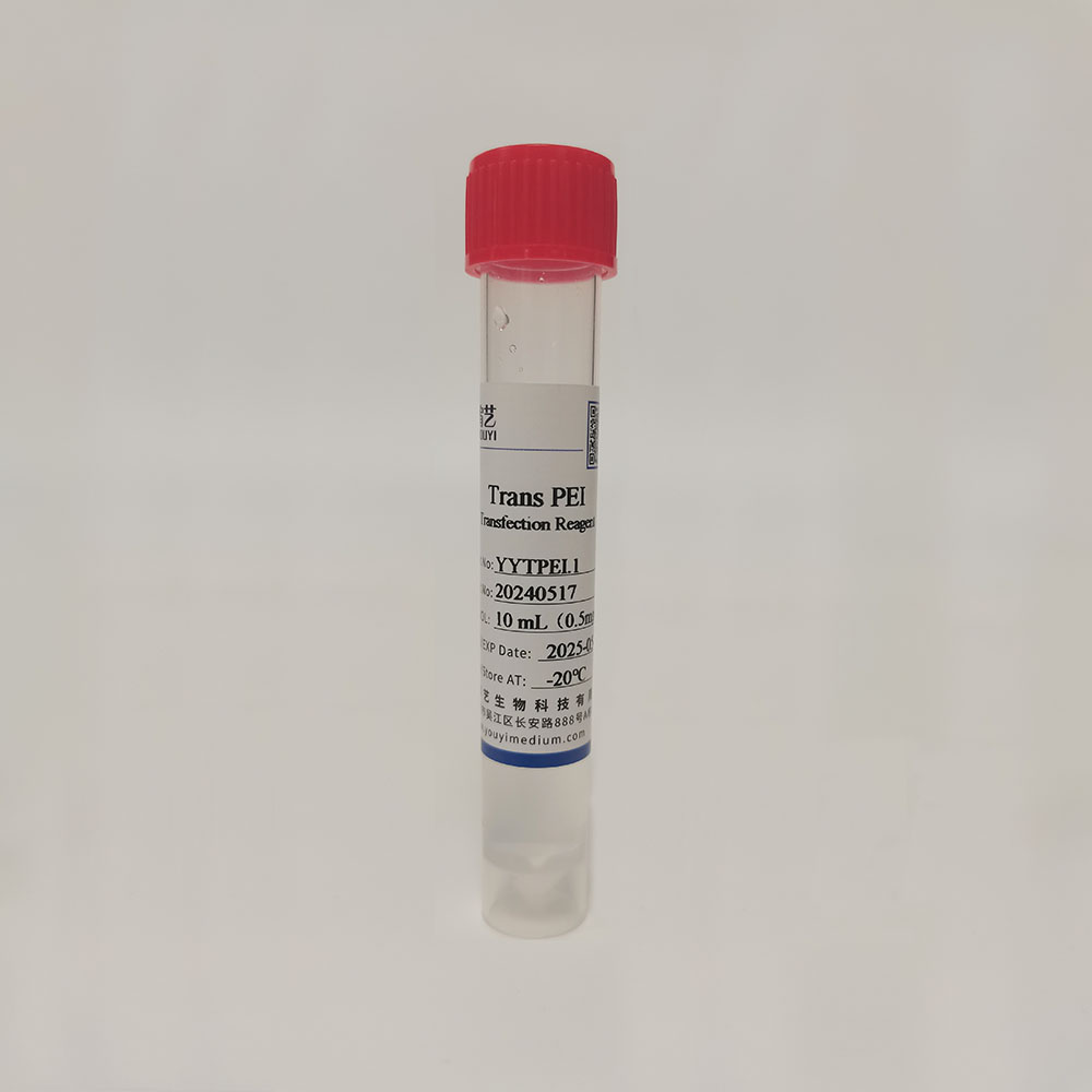 Trans PEI | HEK293系列 | 产品中心 | 上海宥艺生物科技有限公司企业网站 - Powered by DouPHP